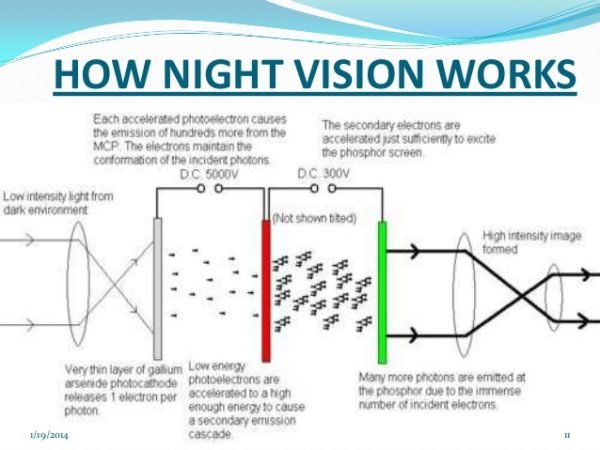 How Does Night Vision Work? - A Detailed Review - Night Vision Gears