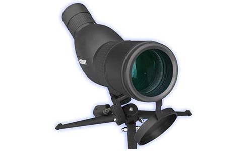 Best Scopes For Scout Rifle in 2022 - Updated Picks & Guide