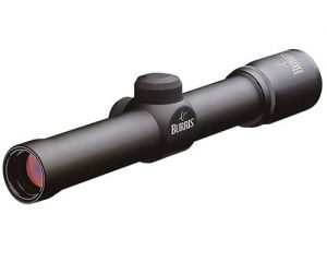 Best Fixed Power Scopes in 2021 - Review & Guide