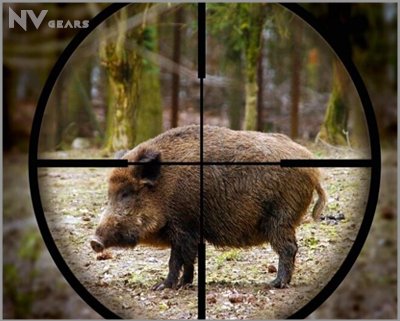 How to Sight in a Night Vision Scope - Beginner's Guide - Night Vision ...