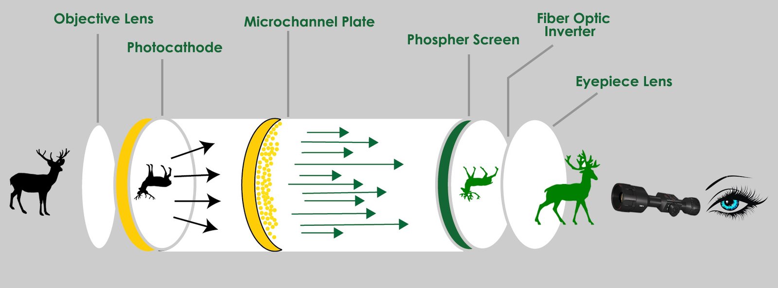 How to Sight in a Night Vision Scope - Beginner's Guide - Night Vision ...