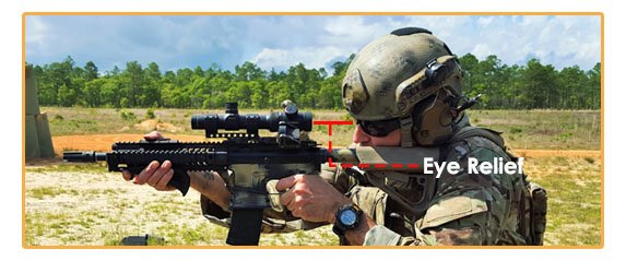 Vortex Optics Strike Eagle 1-6×24 SFP Riflescope Review - Night Vision ...