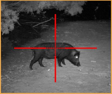 Sightmark Photon RT 4.5x-9x42S Digital Night Vision Rifle Scope Review ...