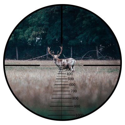 10 Best Rimfire (.22LR) Riflescopes in 2023 - Night Vision Gears