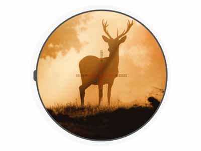 FFP VS SFP- Here's the Best Choice For Hunting - Night Vision Gears